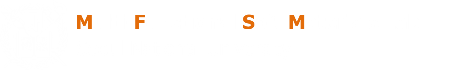 Professor - MFSM Lab.