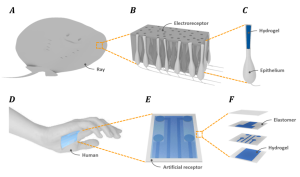 Publication - MFSM Lab.