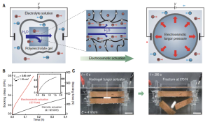 Publication - MFSM Lab.