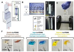 Publication - MFSM Lab.