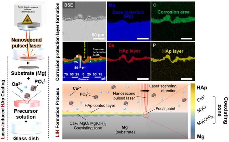 Publication - MFSM Lab.