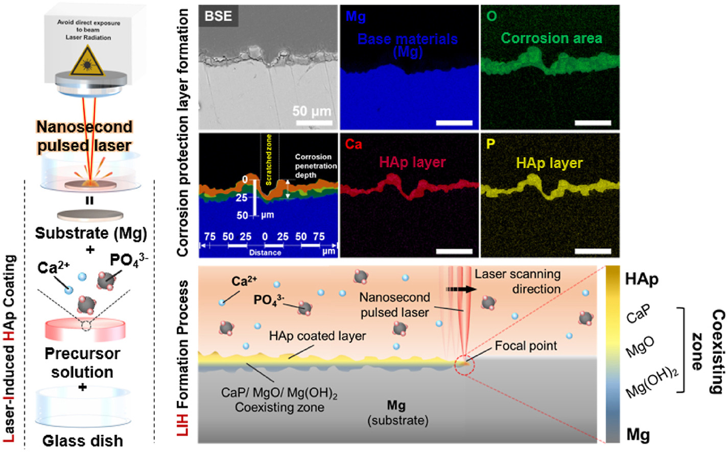 Publication - MFSM Lab.