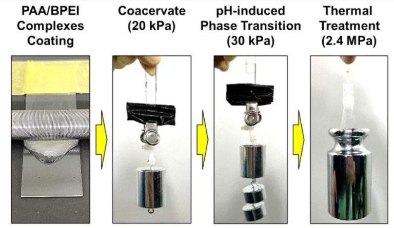 Publication - MFSM Lab.