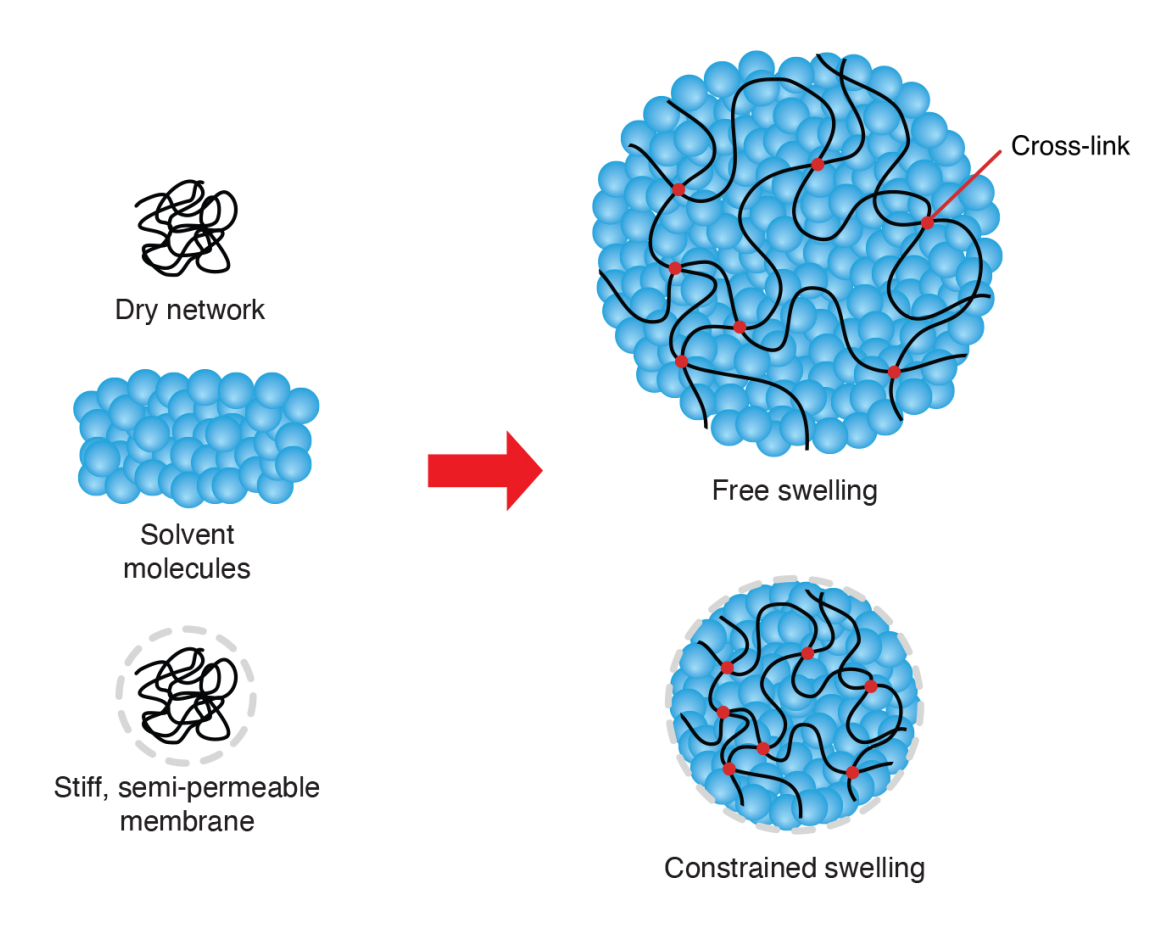 Publication - MFSM Lab.