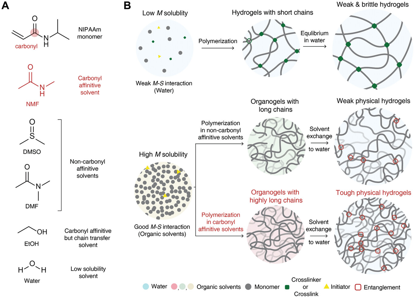 Publication - MFSM Lab.