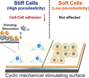 Publication - MFSM Lab.