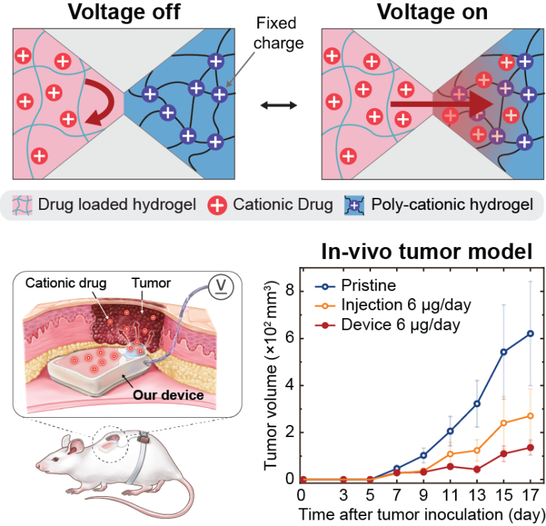 Recent Highlights - MFSM Lab.