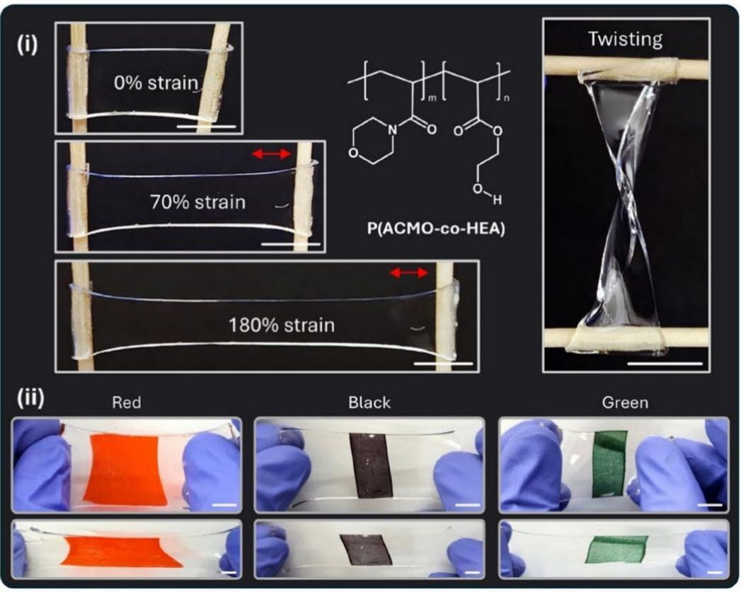 Publication - MFSM Lab.